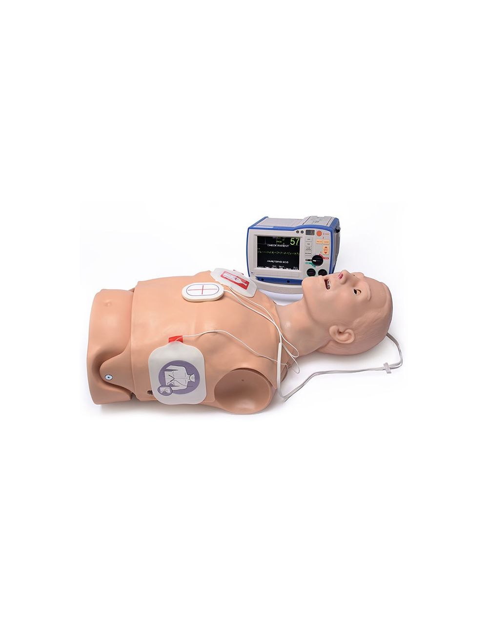 Gaumard HAL Adult CPR+D Skills Trainer Torso